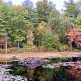 Southern New England Trunkline Trail, Massachusetts - 440 Reviews, Map ...