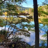 Abbott Lake Trail, Virginia - 209 Reviews, Map | AllTrails