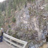 Fintry Falls, British Columbia, Canada - 264 Reviews, Map | AllTrails