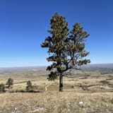 Red Grade Trails System, Wyoming - 110 Reviews, Map | AllTrails