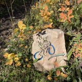Red Grade Trails System, Wyoming - 110 Reviews, Map | AllTrails
