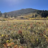 Red Grade Trails System, Wyoming - 110 Reviews, Map | AllTrails