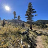 Red Grade Trails System, Wyoming - 110 Reviews, Map | AllTrails