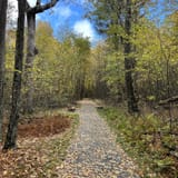 Limberlost Trail, Virginia - 814 Reviews, Map | AllTrails