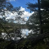 Mashpee River Woodlands North Trail, Massachusetts - 618 Reviews, Map ...