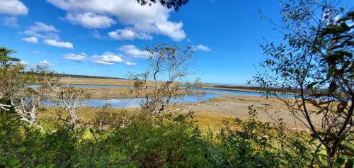 10 Best Hikes and Trails in Cape Cod National Seashore | AllTrails