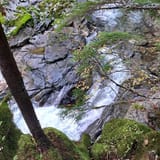 Deception Falls Interpretive Trail, Washington - 614 Reviews, Map ...