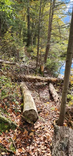 2023 Best Easy Trails in Kent Cliffs | AllTrails