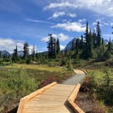 Picture Lake Path, Washington - 318 Reviews, Map | AllTrails