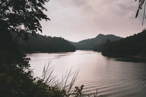 Best Hikes and Trails in Idukki Wildlife Sanctuary | AllTrails