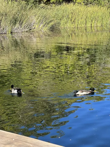 The Wildlands Conservancy Oak Glen Preserve: de beste routes om te ...