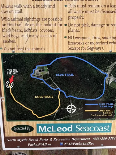 Best Hikes and Trails in Peter Horry Wildlife Preserve | AllTrails