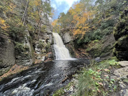 Best Hikes and Trails in Bushkill Falls | AllTrails
