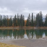 Fenland Trail, Alberta, Canada - 778 Reviews, Map | AllTrails