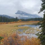 Fenland Trail, Alberta, Canada - 778 Reviews, Map | AllTrails