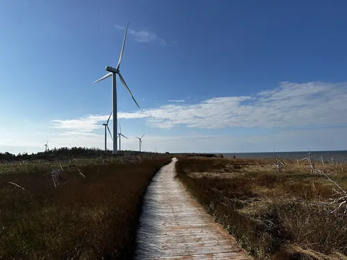 Best Hikes and Trails in Seacow Pond | AllTrails