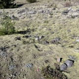 Hummocks Trail, Washington - 955 Reviews, Map | AllTrails