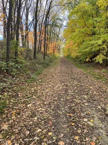 Best Rails Trails in Ripon | AllTrails