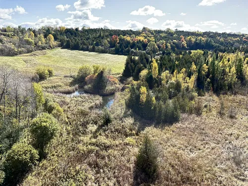 10 Best Forest Trails in Peterborough | AllTrails