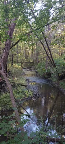 Best Hikes and Trails in Oakdale Nature Preserve | AllTrails