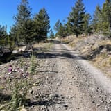 MacDonald Pass to Priest Pass Via Continental Divide Trail, Montana ...