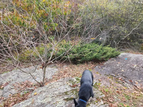 Best Hikes and Trails in Frye Mountain State Game Management Area ...