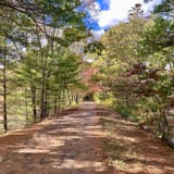 Windham Rail Trail, New Hampshire - 1,313 Reviews, Map | AllTrails