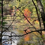 Windham Rail Trail, New Hampshire - 1,313 Reviews, Map | AllTrails