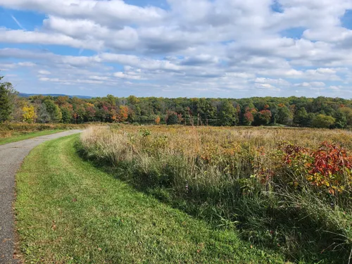Best Hikes and Trails in Hoffman Park | AllTrails