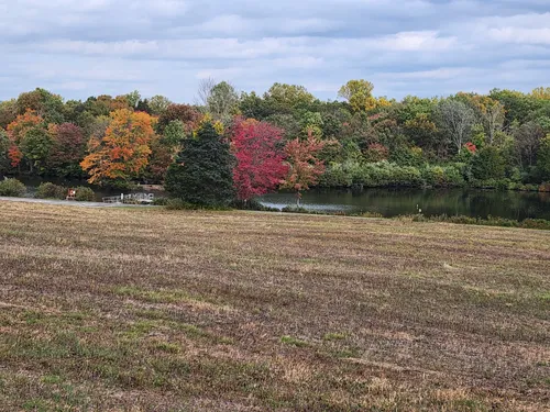 Best Hikes and Trails in Hoffman Park | AllTrails