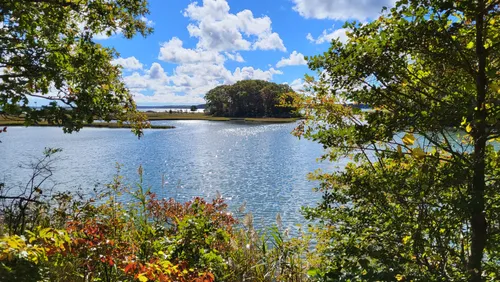 Best Hikes and Trails in Mashomack Preserve | AllTrails