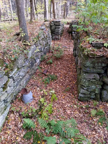 Best Hikes and Trails in Clam River Reserve | AllTrails