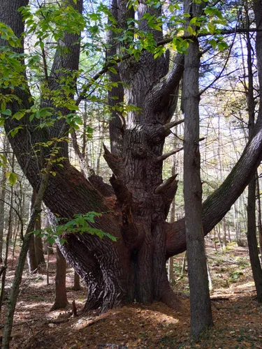 Best Hikes and Trails in Clam River Reserve | AllTrails