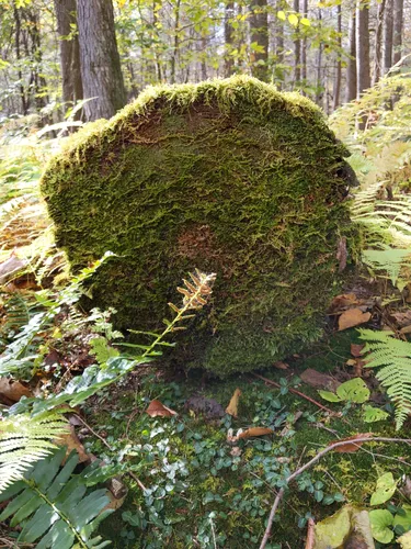 Best Hikes and Trails in Clam River Reserve | AllTrails