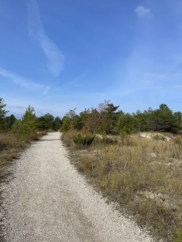 Best Hikes and Trails in Inverhuron Provincial Park | AllTrails