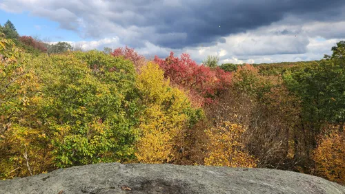 Best Hikes and Trails in Enders State Forest | AllTrails