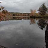 Hudson Pointe Nature Preserve, New York - 735 Reviews, Map | AllTrails