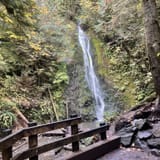 Madison Falls Trail, Washington - 1,589 Reviews, Map | AllTrails