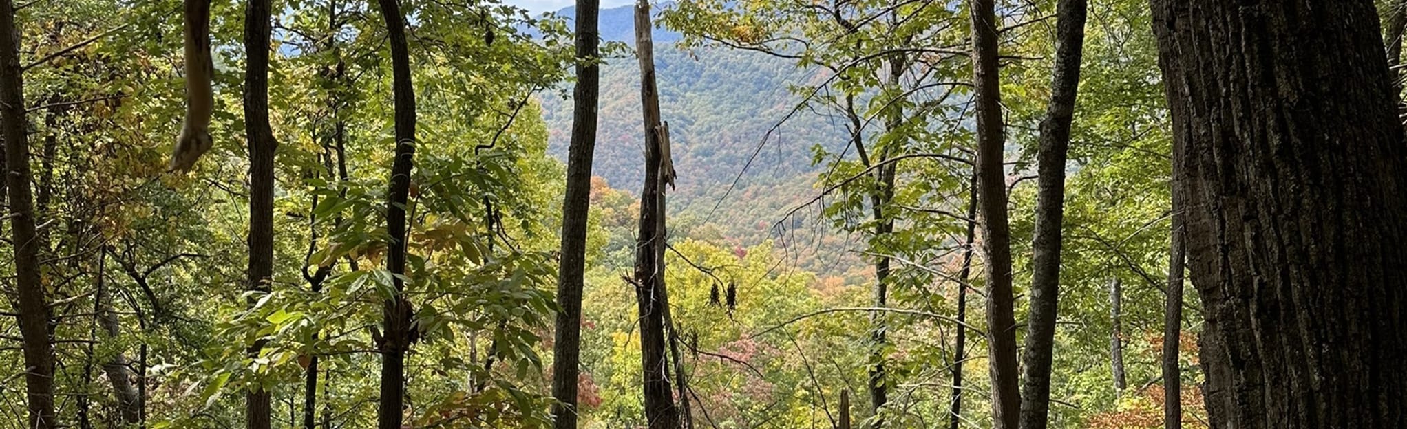 Thomas Divide, Deep Low Gap, and Indian Creek Motor Trail, North ...