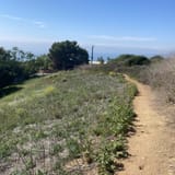 Forrestal Preserve Loop, California - 1,283 Reviews, Map | AllTrails