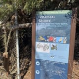 Forrestal Preserve Loop, California - 1,283 Reviews, Map | AllTrails