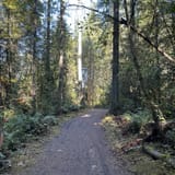 Overlook Loop, Washington - 229 Reviews, Map | AllTrails