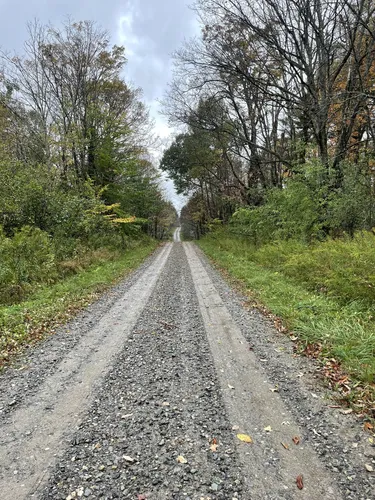 Best Hikes and Trails in Pinckney State Forest | AllTrails