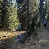Summit View Nature Trail, Montana - 181 Reviews, Map | AllTrails