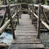 Alberni Inlet Trail, British Columbia, Canada - 67 Reviews, Map | AllTrails