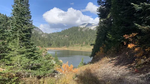 Best Hikes and Trails in Callaghan Lake Provincial Park | AllTrails