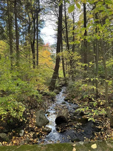 Best Hikes and Trails in Macomber Estate | AllTrails