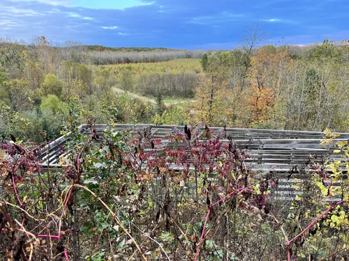 Best Hikes and Trails in TREC - Trail Recreation Effingham County ...