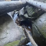 Brumley Arch , Utah - 158 Reviews, Map | AllTrails