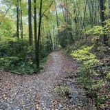 Deep Creek Loop Trail, North Carolina - 1,984 Reviews, Map | AllTrails